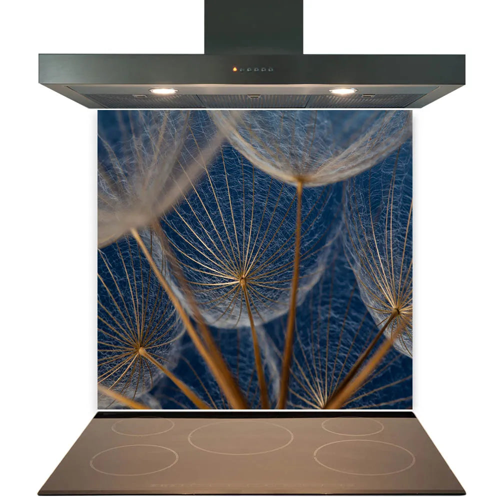 Blue Copper Dandelions Glass Splashback | Printed Image Glass Splashbacks