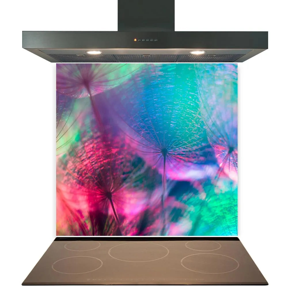 Coloured Dandelions Glass Splashback | Printed Image Glass Splashbacks